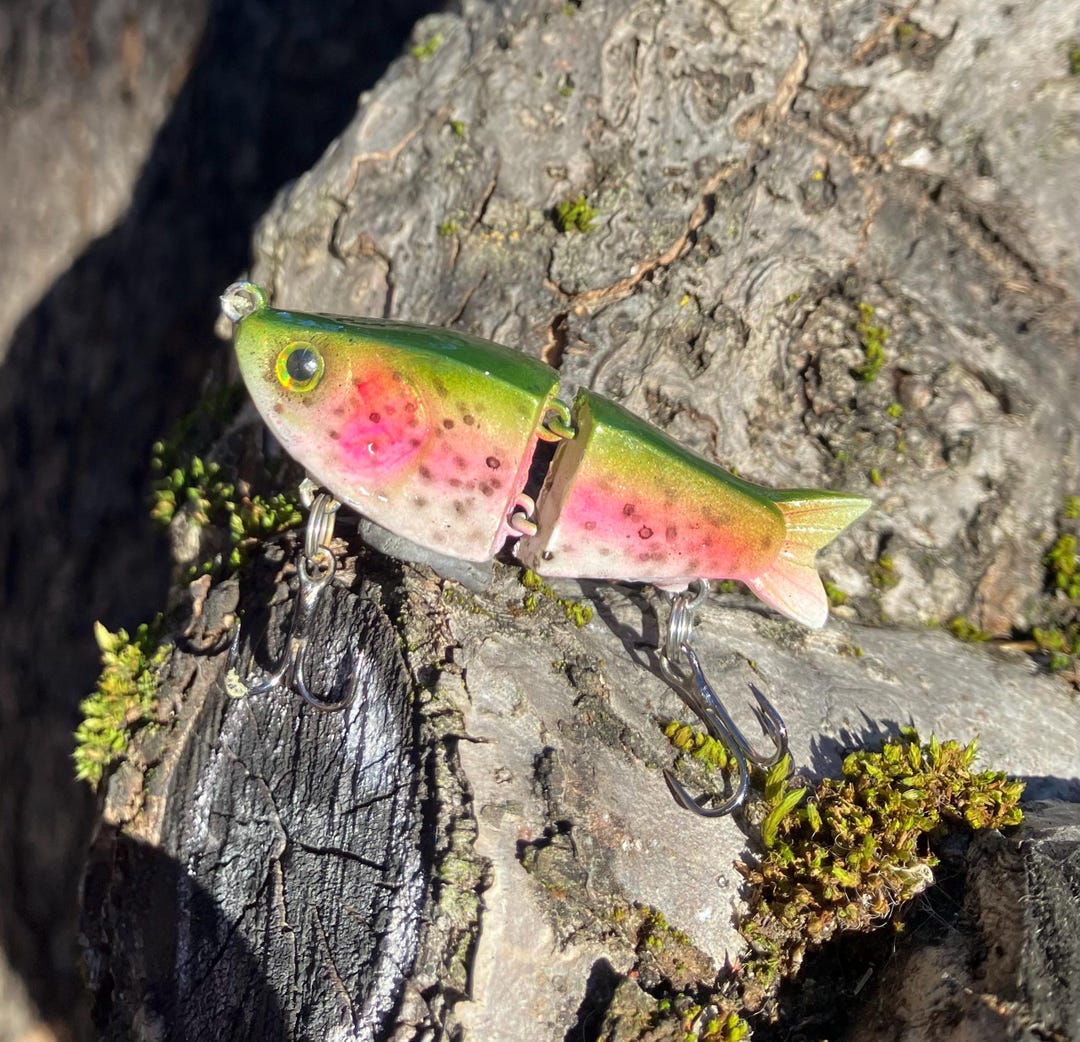 Micro Rainbow Trout Swimbait 2 - Etsy