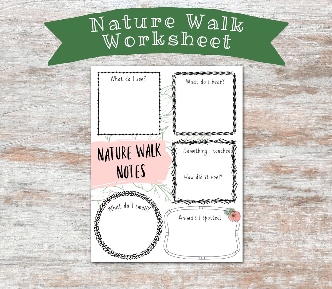 Printable Nature Walk Notes Worksheet for Homeschool / Preschool ...