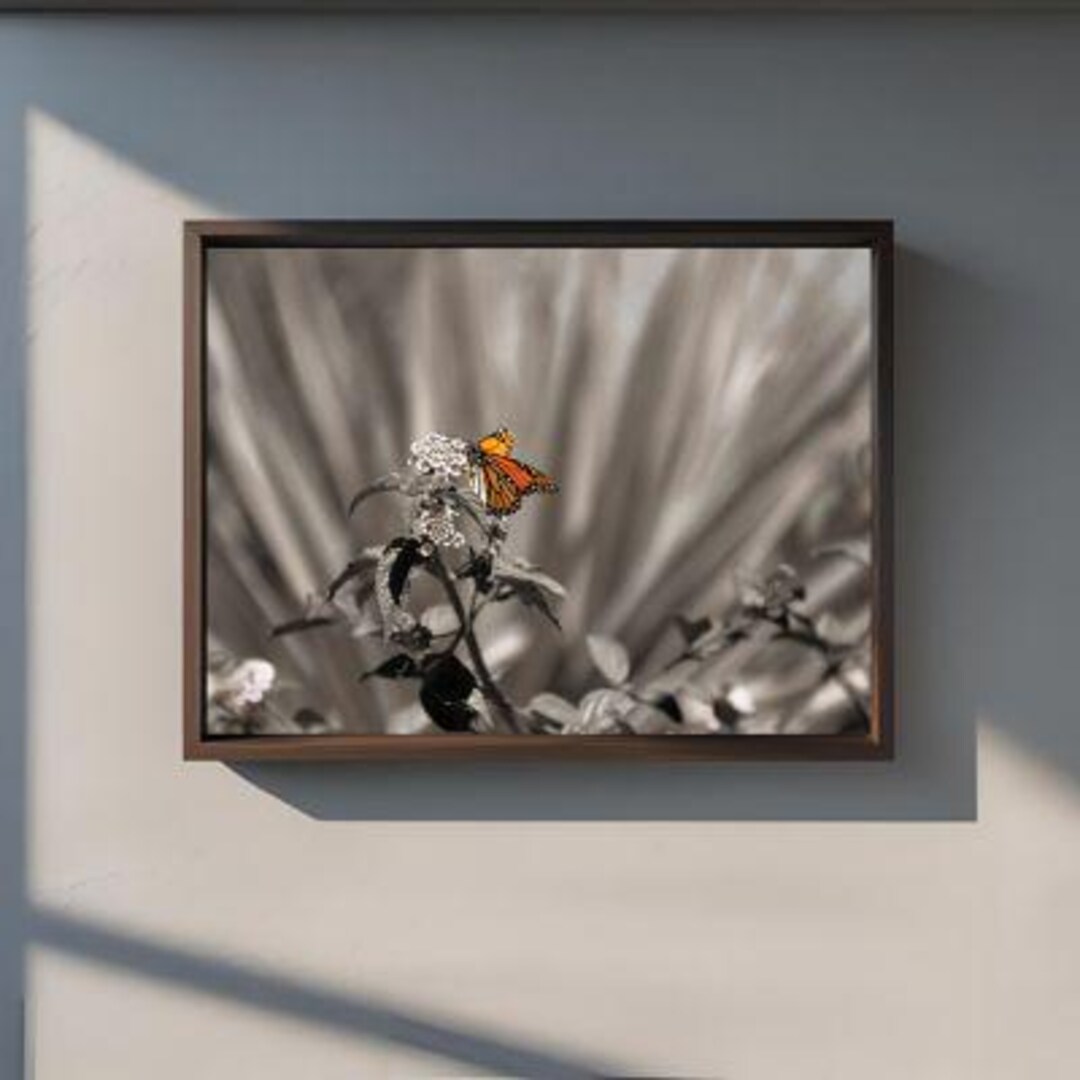 Monarch Butterfly Photograph: Modern Fine Art Print (digital Download ...