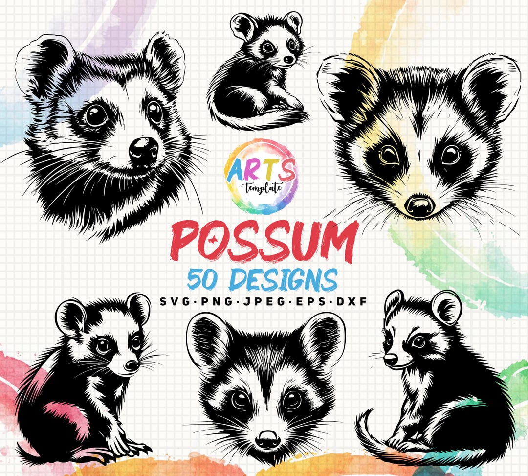 Possum Bundle Svg Png Jpeg Eps Dxf Bundle Silhouette Clipart Cricut ...