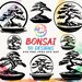 Bonsai Bundle Svg Png Jpeg Eps Dxf Bundle Silhouette Clipart Cricut ...