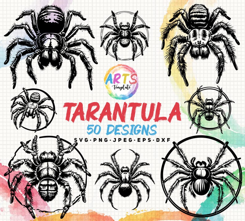 Tarantula Bundle Svg Png Jpeg Eps Dxf Bundle Silhouette Clipart Cricut ...