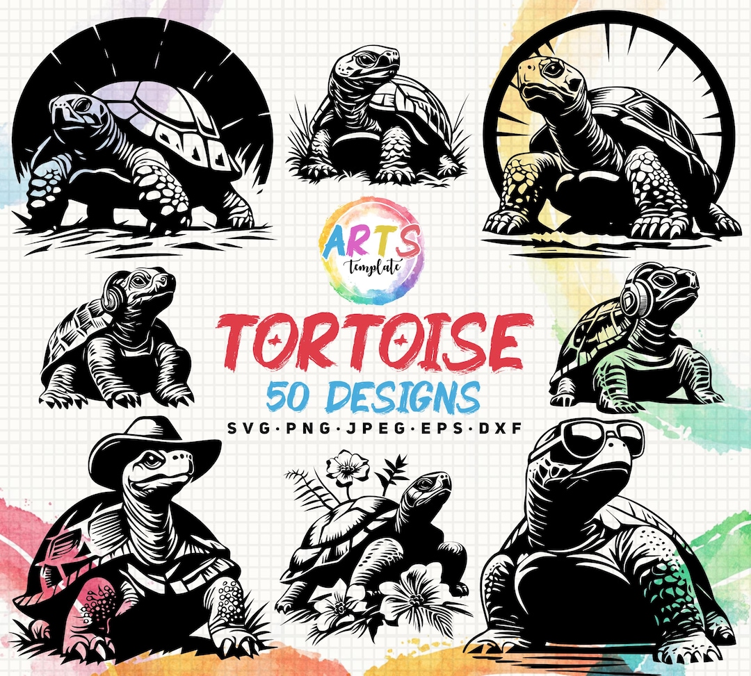 Tortoise Bundle Svg Png Jpeg Eps Dxf Bundle Silhouette Clipart Cricut ...
