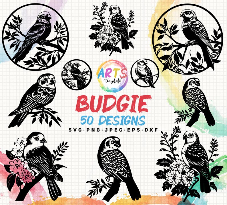 Budgie Bundle Svg Png Jpeg Eps Dxf Bundle Silhouette Clipart Cricut ...