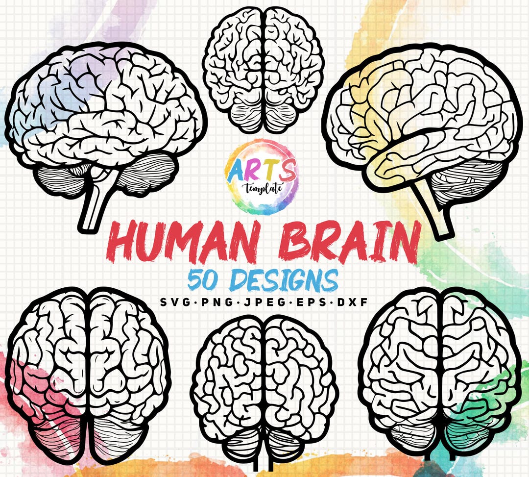 Human Brain Bundle Svg Png Jpeg Eps Dxf Bundle Silhouette Clipart Cricut Vector Commercial Use ...