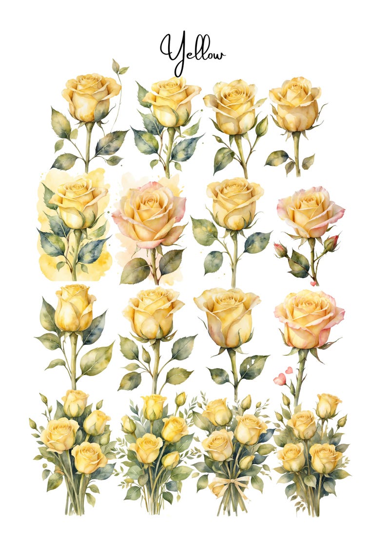 Watercolor Rose Clipart Bundle • Multi-color Roses PNG • Open & Closed ...