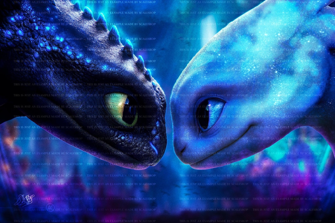 Night Fury & Light Fury Fan Art Print: Dragon Couple, 8K Digital ...