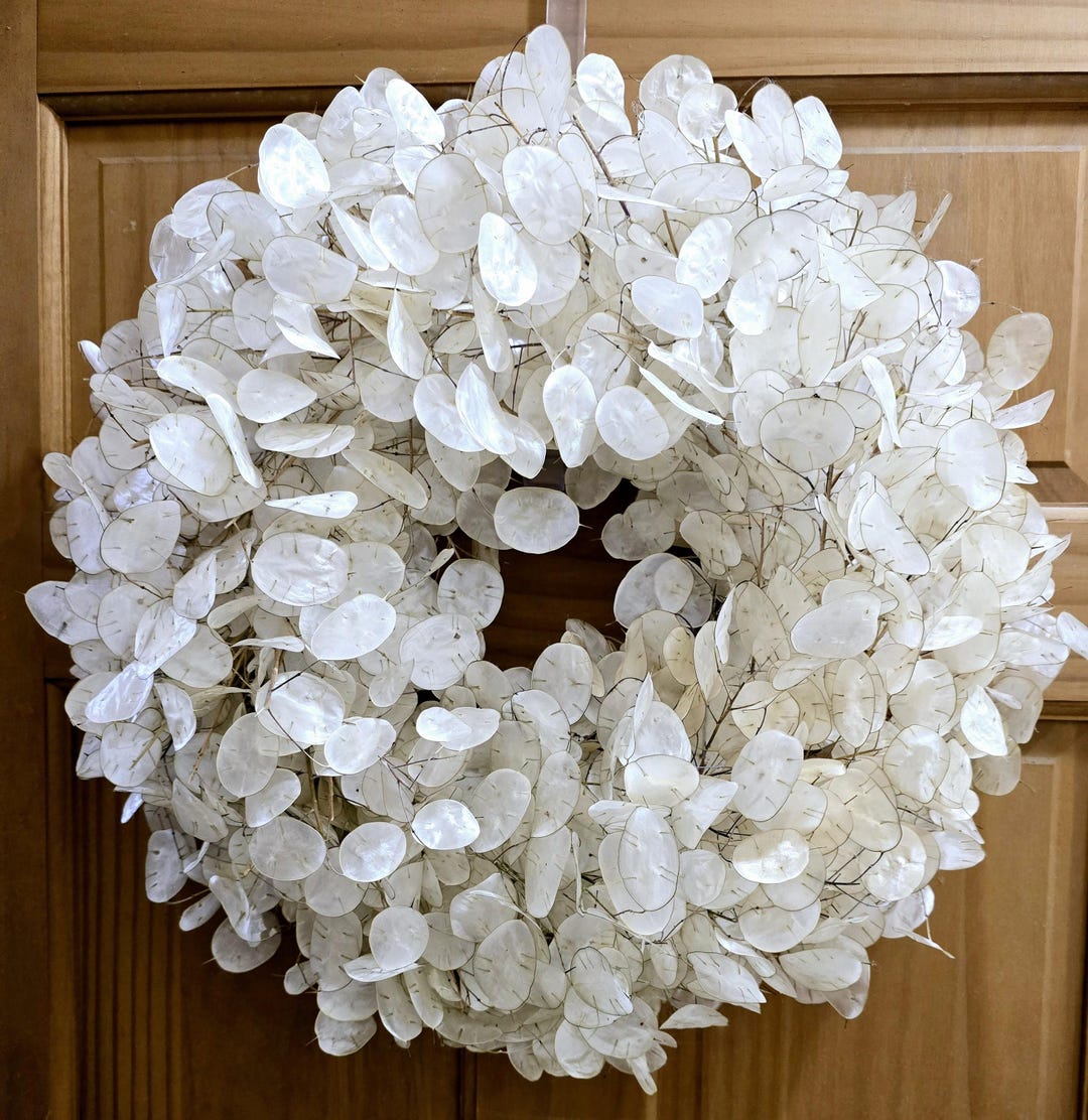 MONEY PLANT Wreath SALE 2024 Lunaria Honesty Free Priority Shipping - Etsy