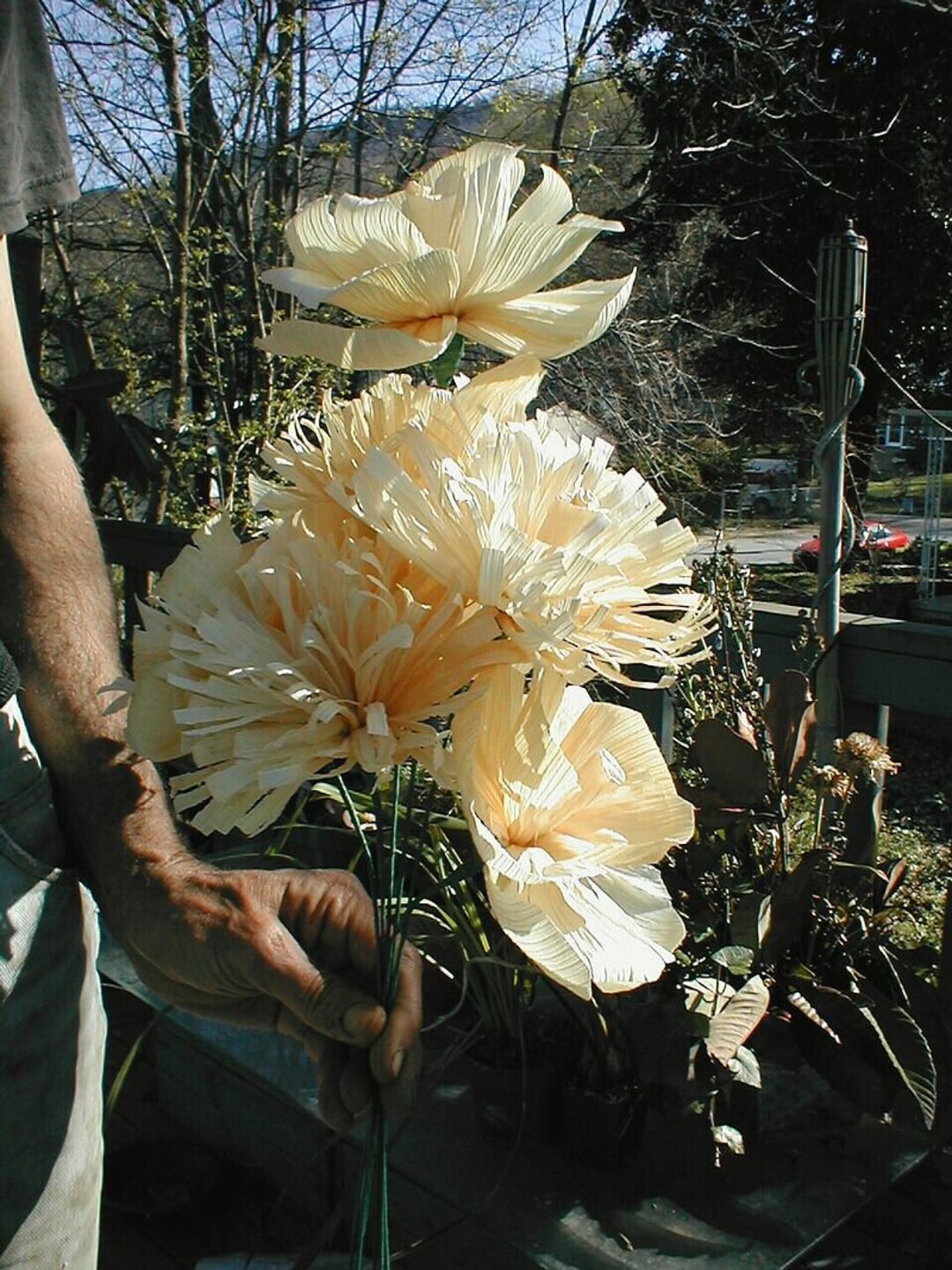 CORN HUSK FLOWERS Creme Corn Husk Natural Flowers 12 to 14 - Etsy