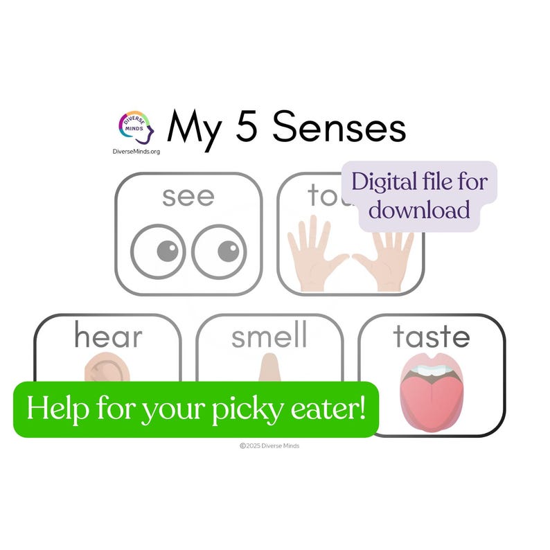 5 Senses Visual and Feeding Advice Bundle - Etsy