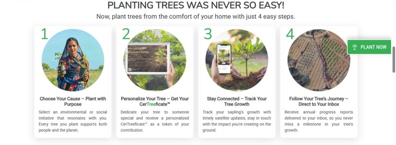 Plant a Tree in Your Name | Unique Digital Eco-friendly Gift With QR ...