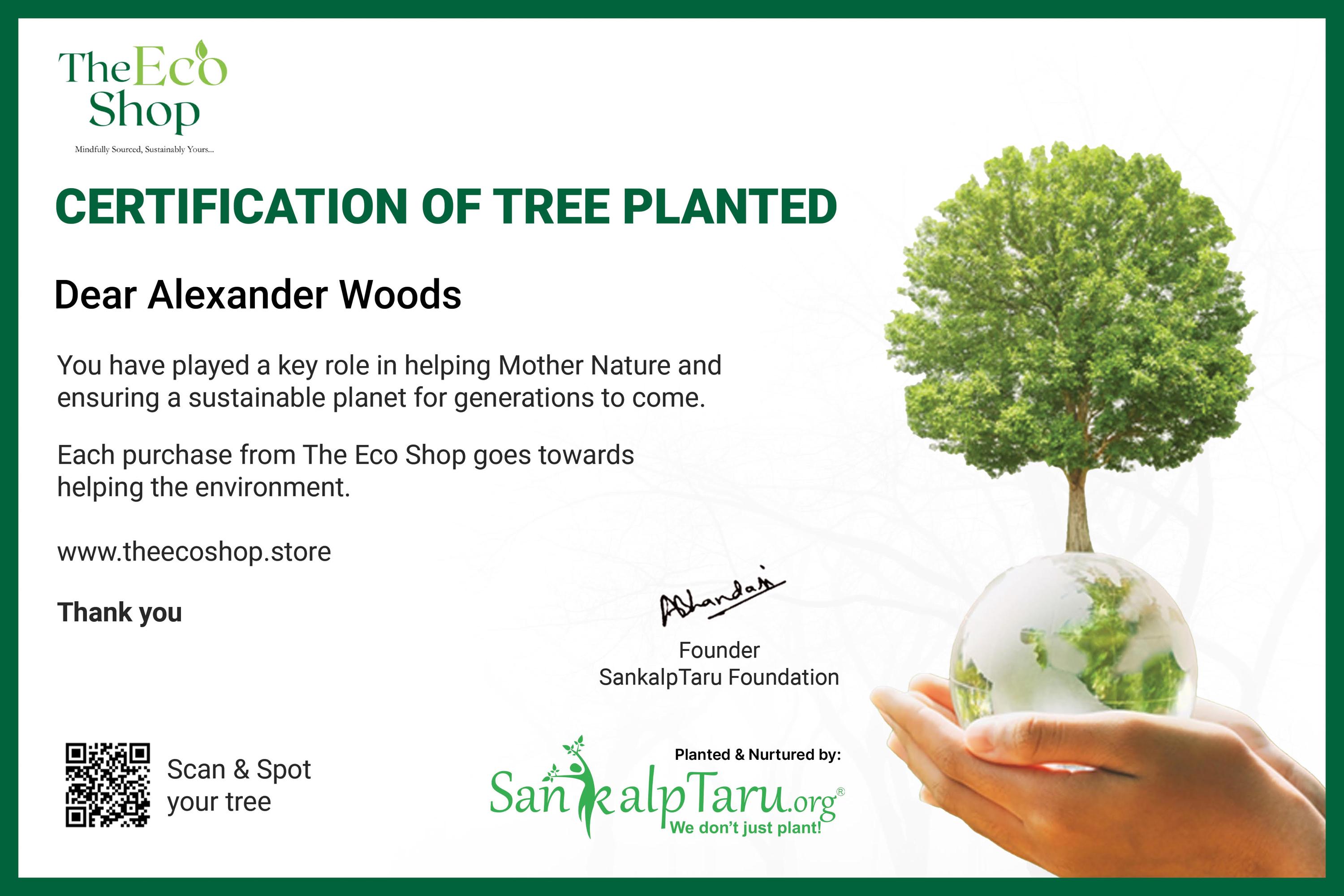 Plant a Tree in Your Name | Unique Digital Eco-friendly Gift With QR ...
