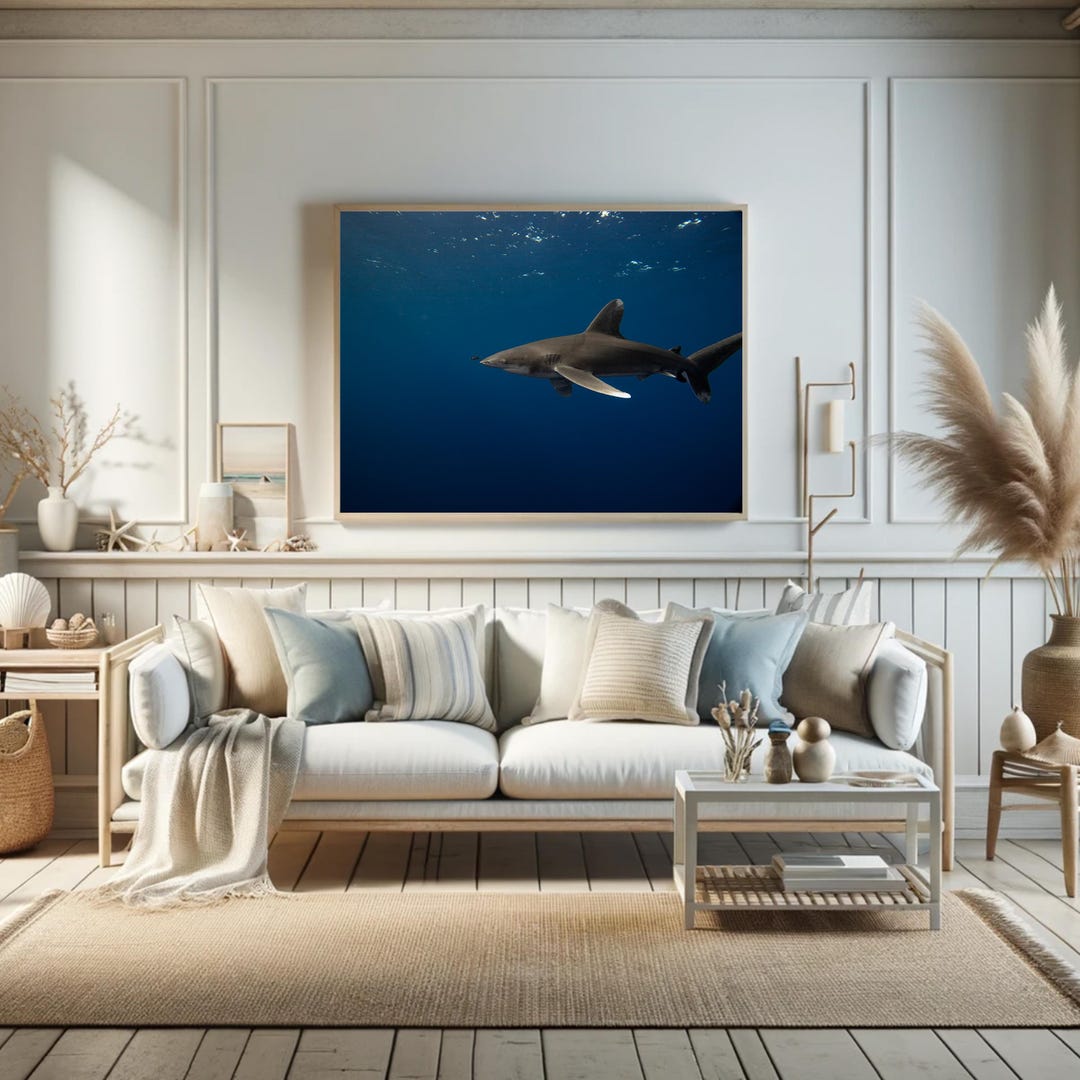 Poster Shark Wall Art Red Sea Wildlife Photography Print Ocean Wildlife ...