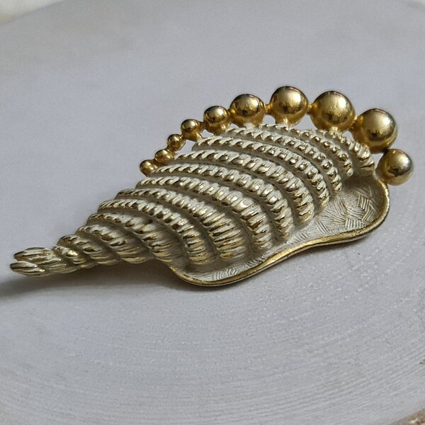 Seashell Brooch - Etsy