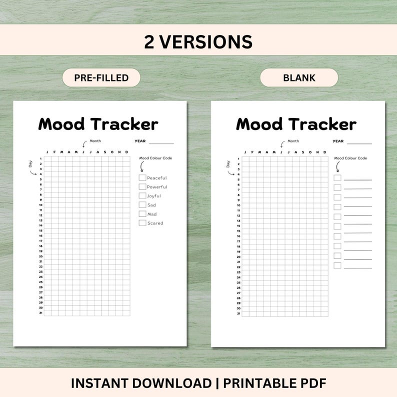 Mood Tracker With Feeling Wheel: Printable Mood Chart (A4/A5 PDF) - Etsy