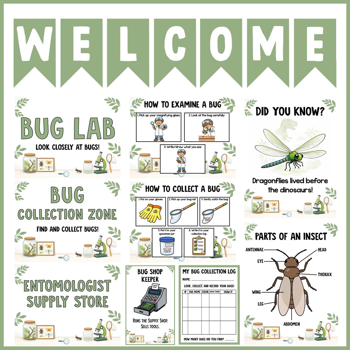 Entomology Bug Lab Dramatic Play Center | Insect & Bug Science Spring ...