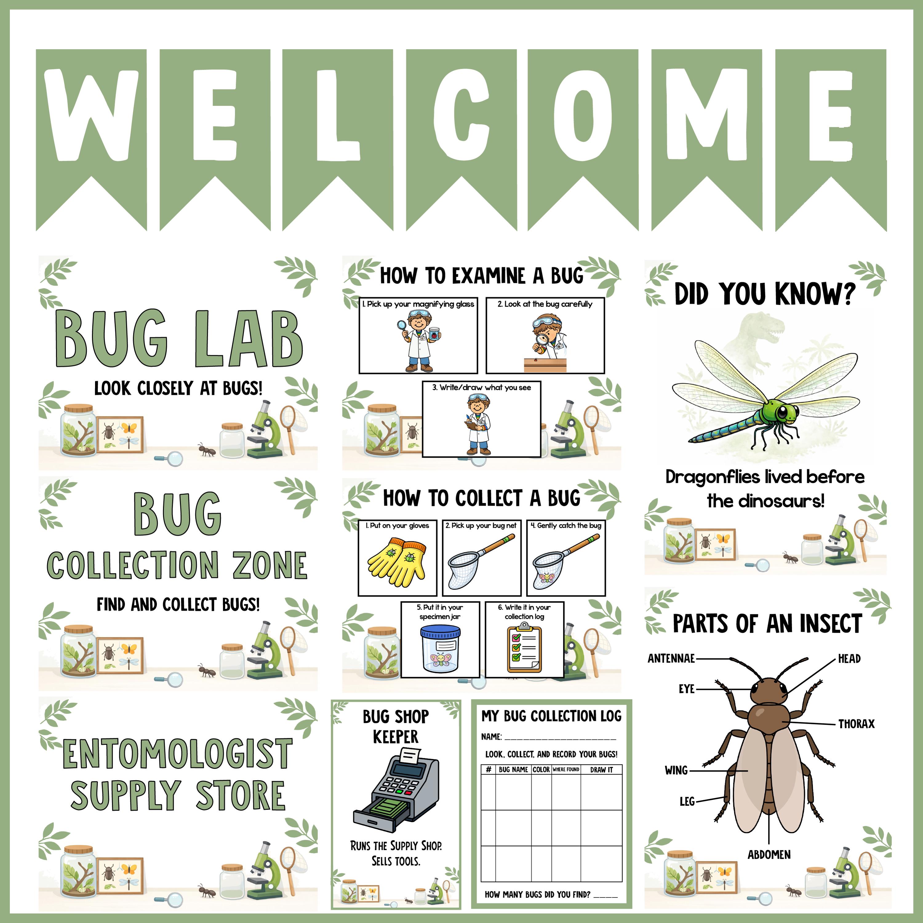 Entomology Bug Lab Dramatic Play Center | Insect & Bug Science Spring ...