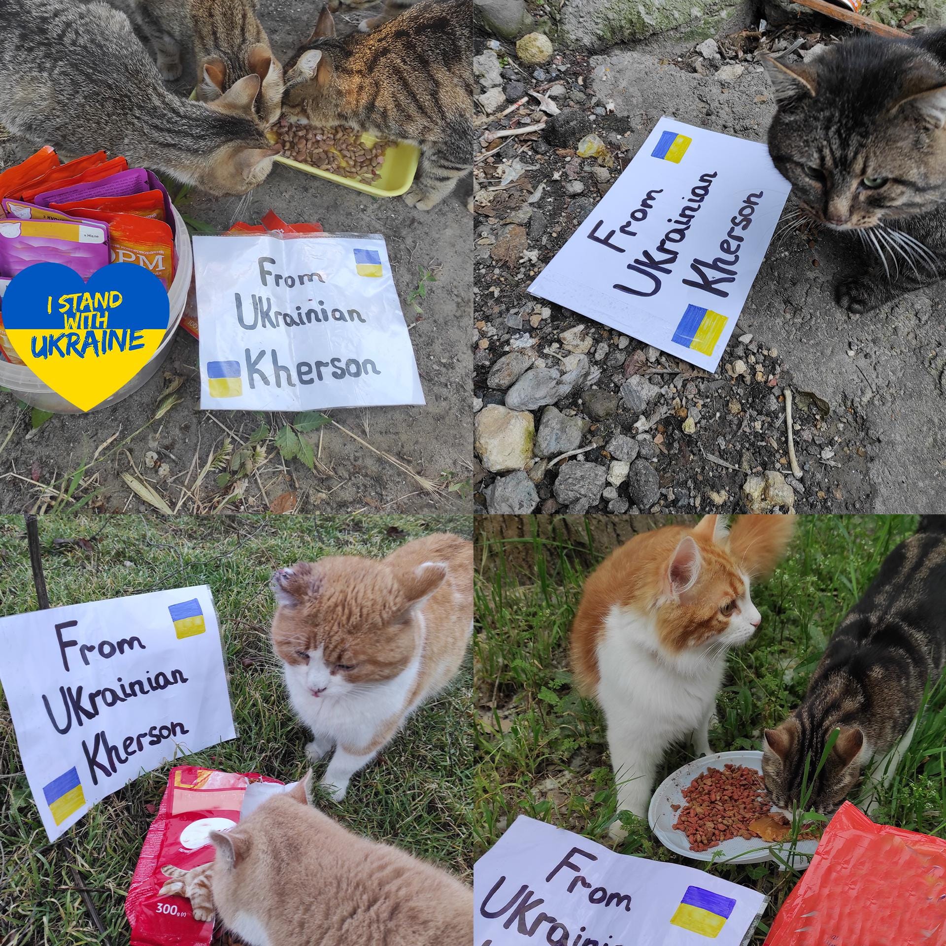 Support Ukrainian Pets. Digital File Download. Stand With Ukraine - Etsy