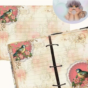 Digital Paper - Birds & Butterflies Digital Lined Paper Collection ...