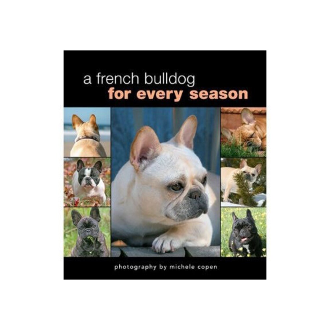 French Bulldog Book: SALE A French Bulldog for Every Season, Hard Cover ...