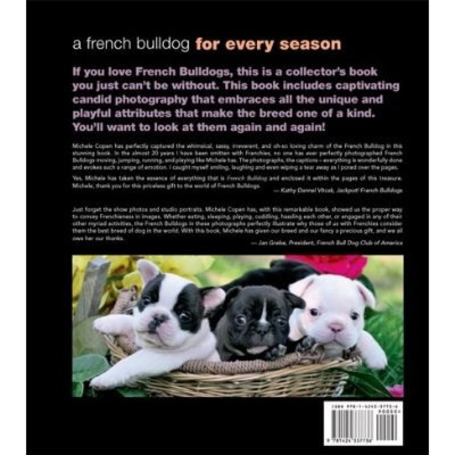 French Bulldog Book: SALE A French Bulldog for Every Season, Hard Cover ...