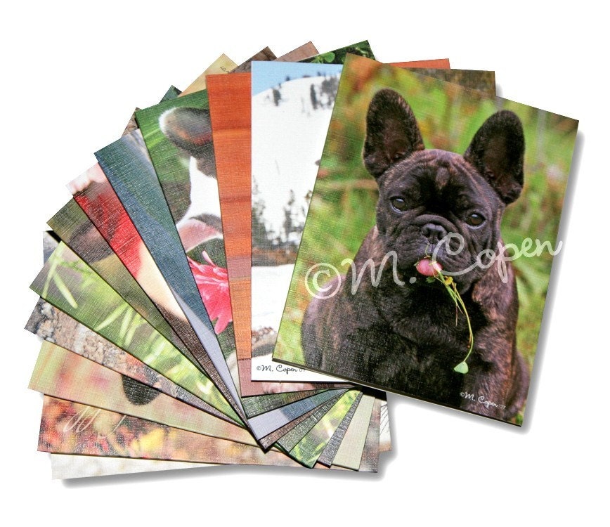 French Bulldog Note Cards - French Bulldog Greeting Cards - Assorted ...