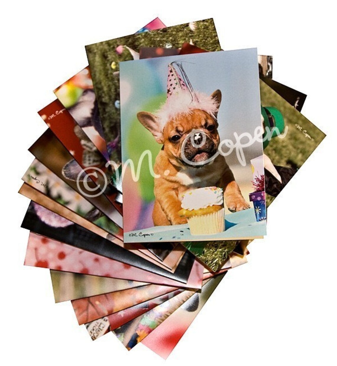 French Bulldog Note Cards - French Bulldog Greeting Cards - Assorted ...