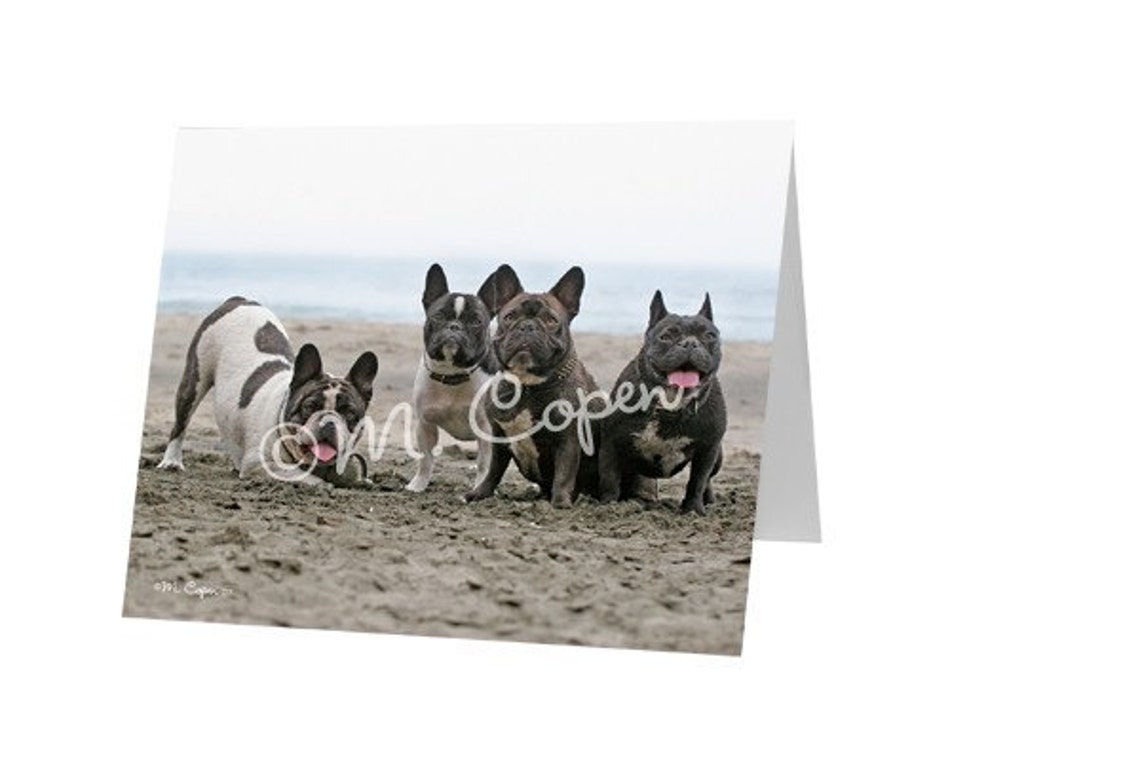 French Bulldog Note Cards - French Bulldog Greeting Cards - Assorted ...
