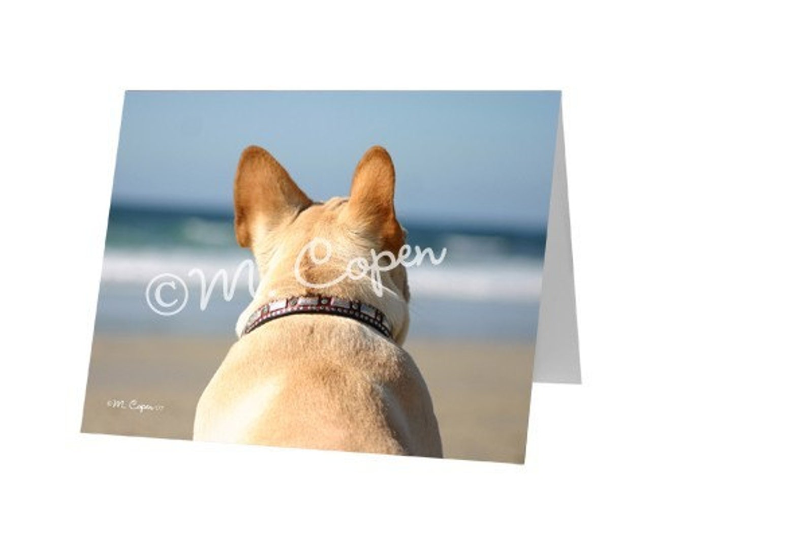 French Bulldog Note Cards - French Bulldog Greeting Cards - Assorted ...