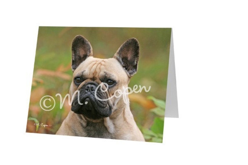 French Bulldog Note Cards - French Bulldog Greeting Cards - Assorted ...