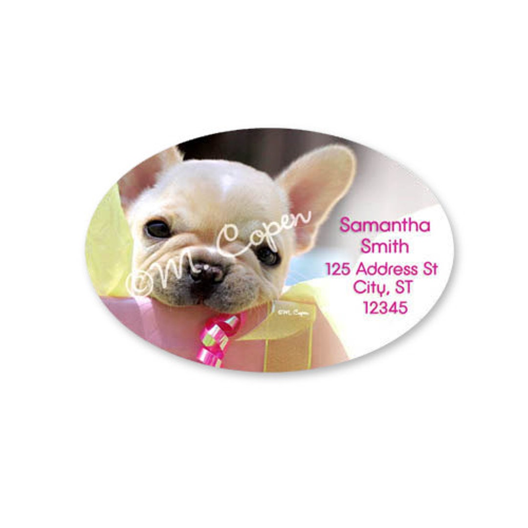 50 French Bulldog Puppy Return Address Labels, 3 X 2 in Size - Etsy