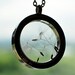 Dandelion Seed Locket Necklace, Real Dandelion Seed Necklace, Silver ...