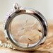 Dandelion Seed Locket Necklace, Real Dandelion Seed Necklace, Silver ...