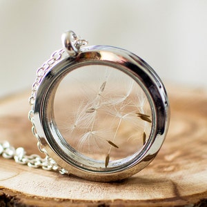 Dandelion Seed Locket Necklace, Real Dandelion Seed Necklace, Silver ...