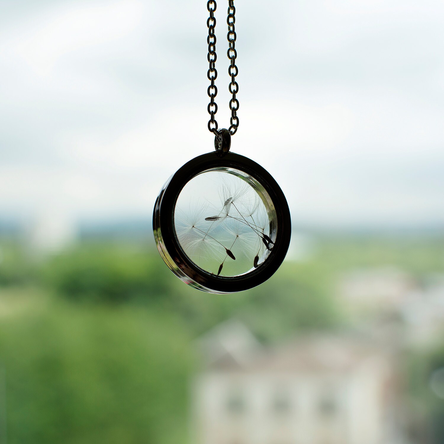 Dandelion Seed Locket Necklace, Real Dandelion Seed Necklace, Silver ...