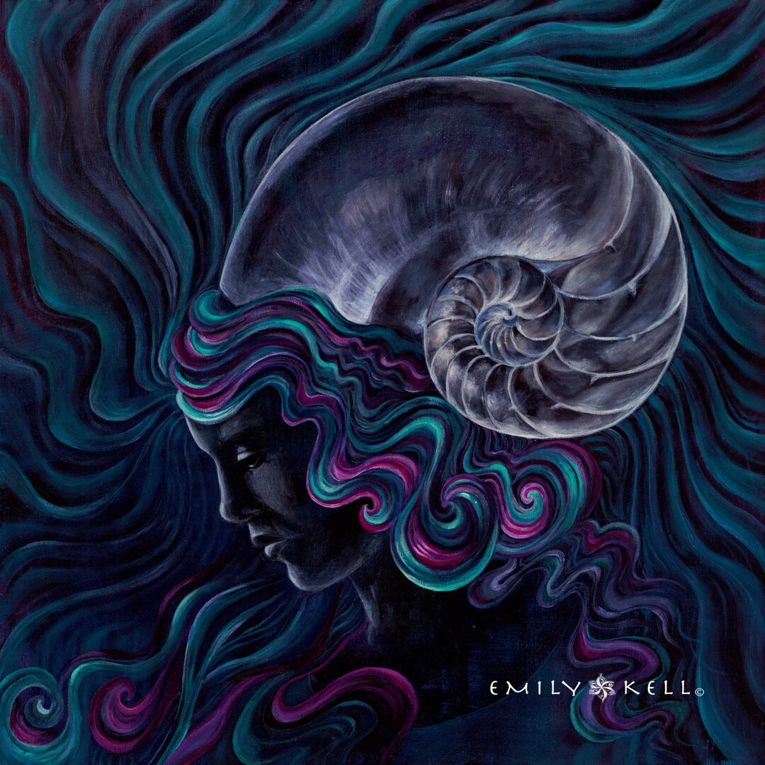 Nautilus- Print by Emily Kell - Etsy