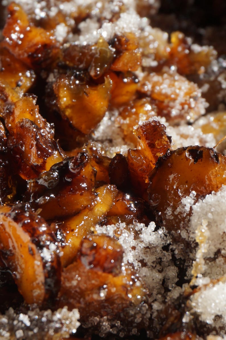 Candied OSHA ROOT- the RECIPE and Method! - Pdf File - Etsy
