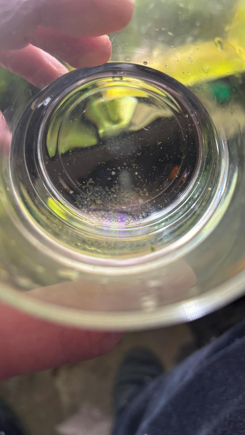 3D Printed AUTOMATIC Fish Egg Catcher; Raccogliotore Uova Automatico ...