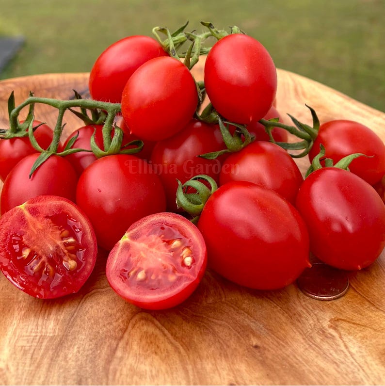 Piennolo Del Vesuvio Tomato Seeds - Etsy