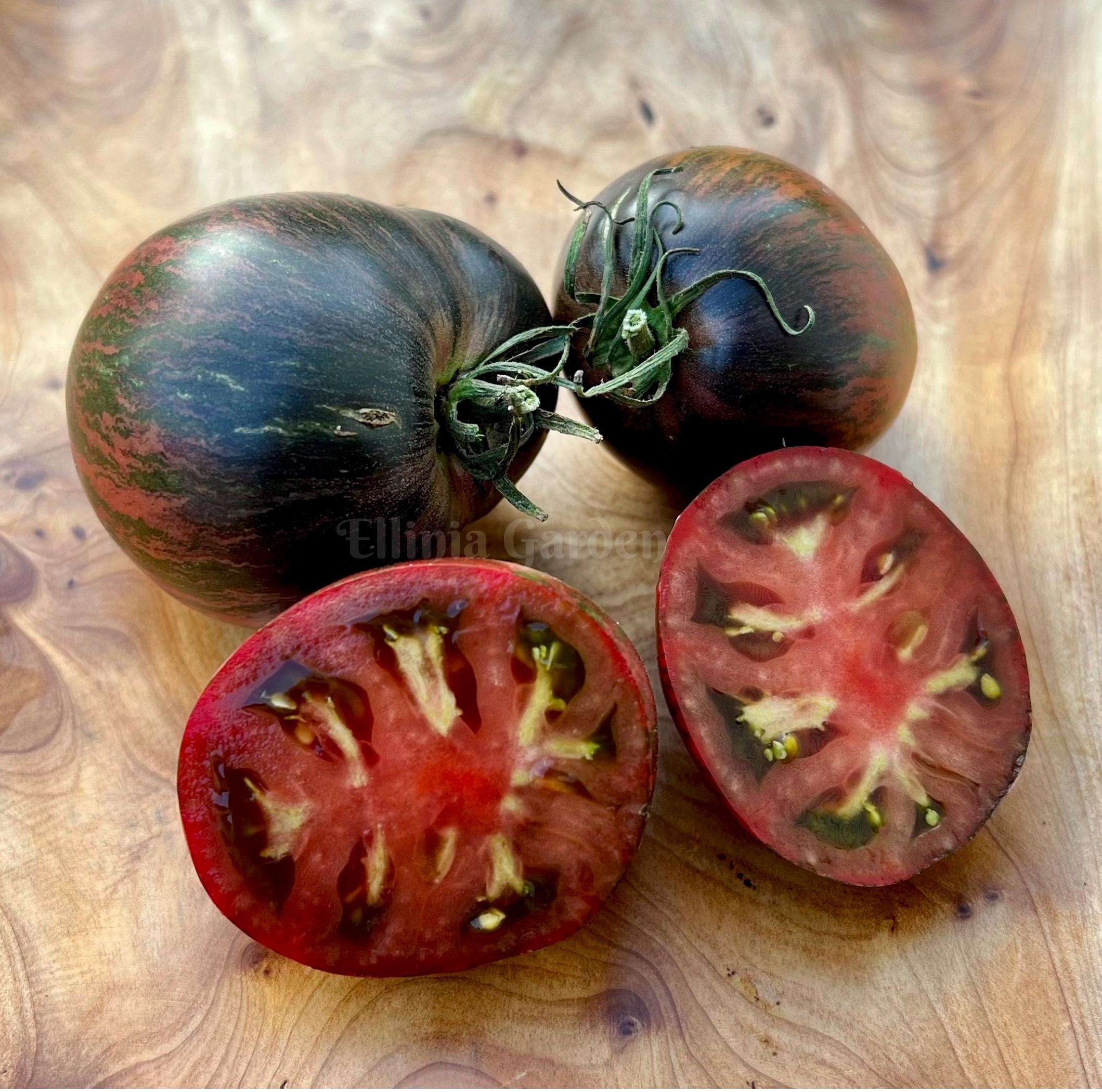 Rebel Starfighter Prime Tomato Seeds - Etsy