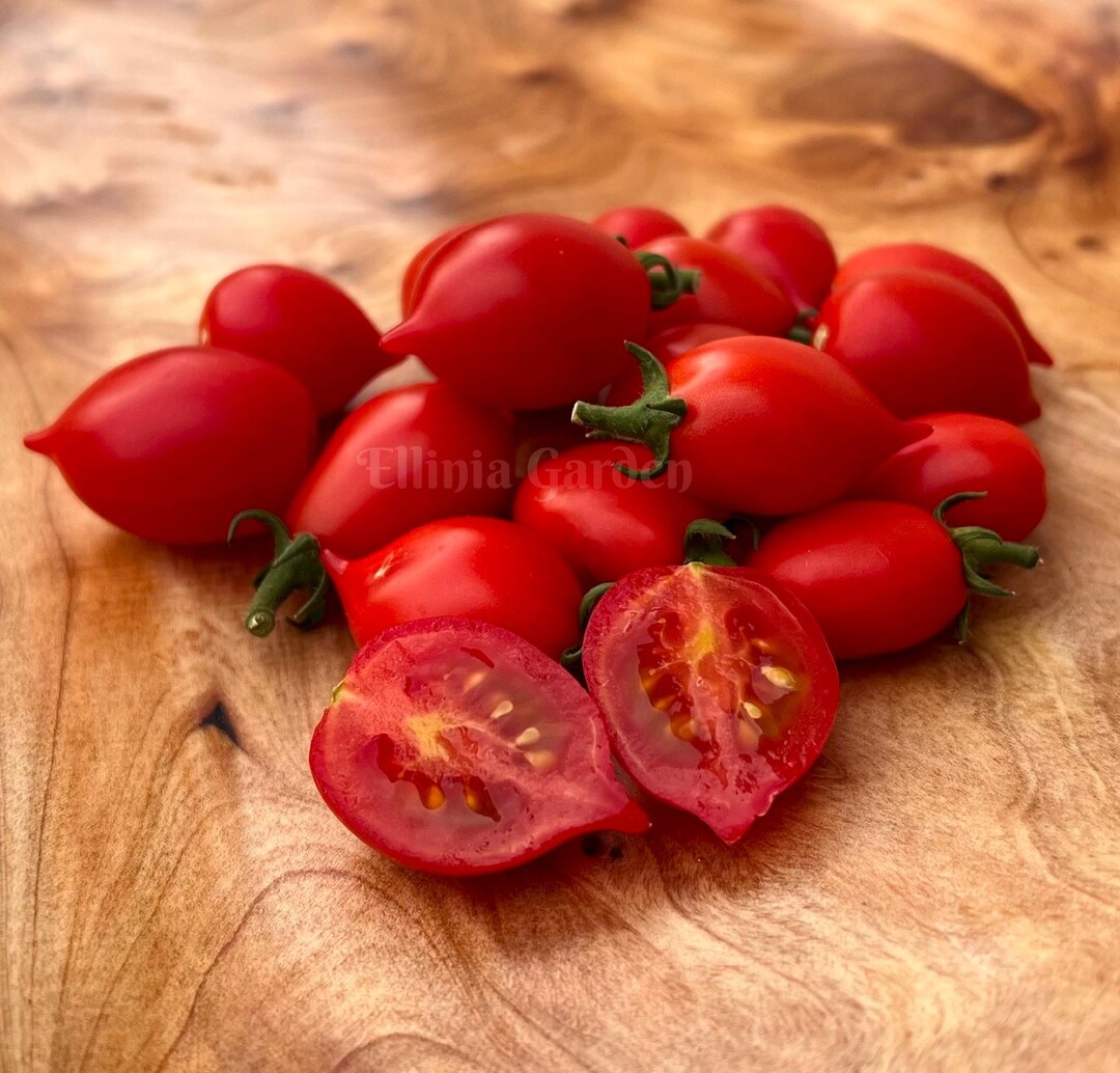 Little Heartbreaker Micro Dwarf Tomato Seeds - Etsy