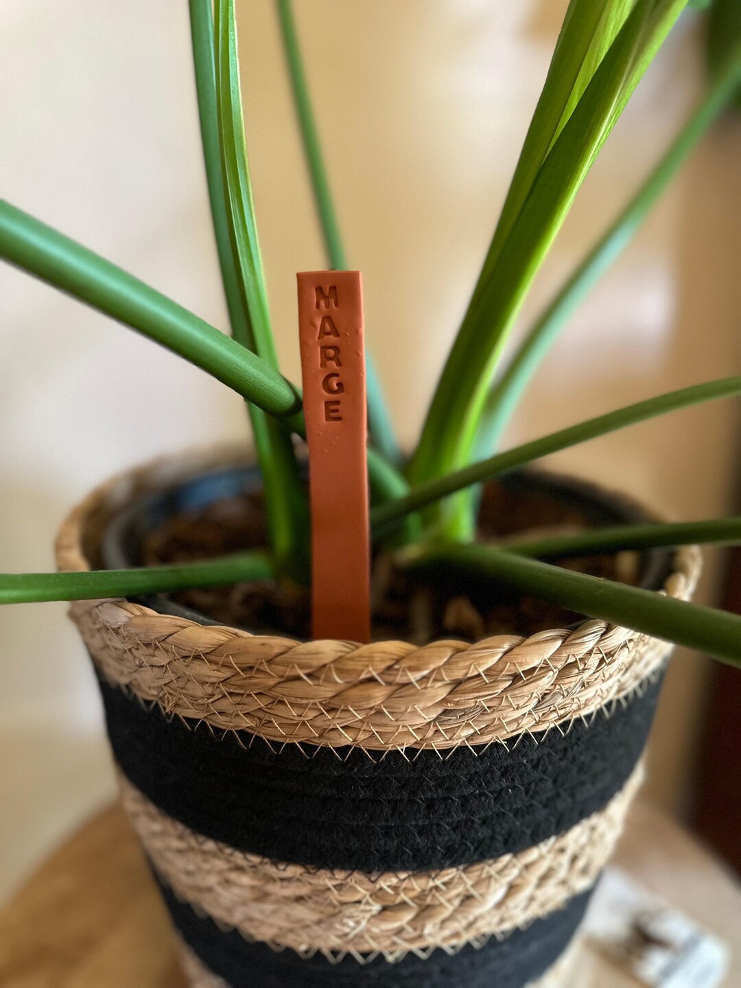 Plant Name Garden Markers, Name Your Own Plant Clay Garden Markers ...