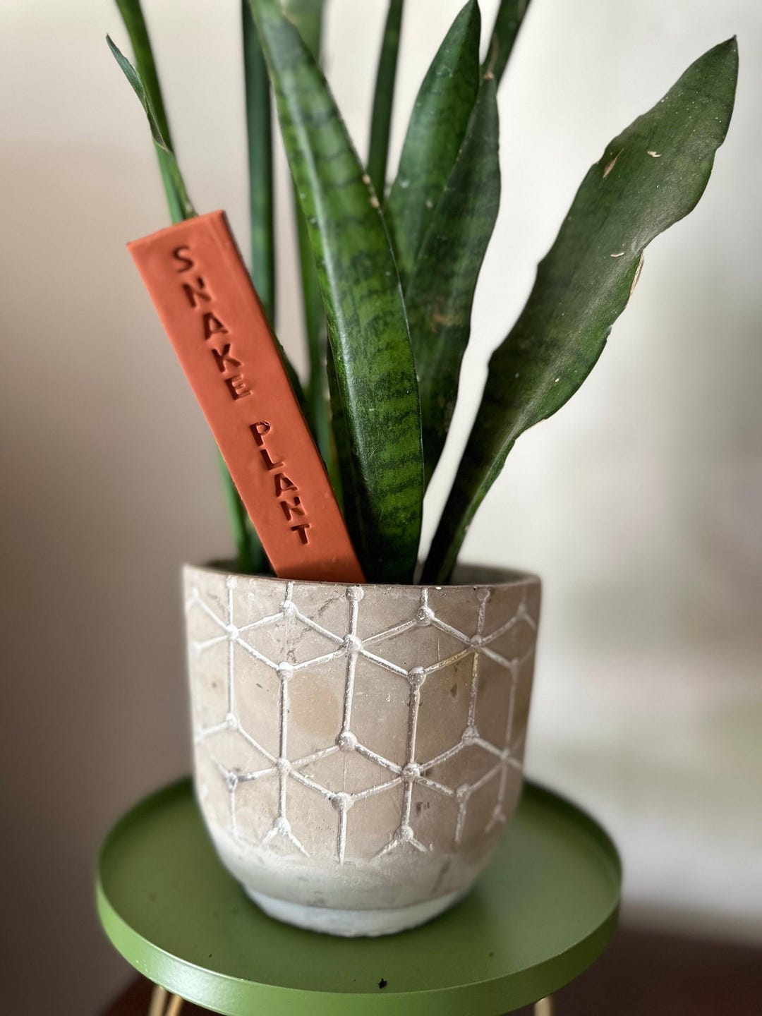 Houseplant Clay Garden Markers, Handmade Clay Plant Markers - Etsy