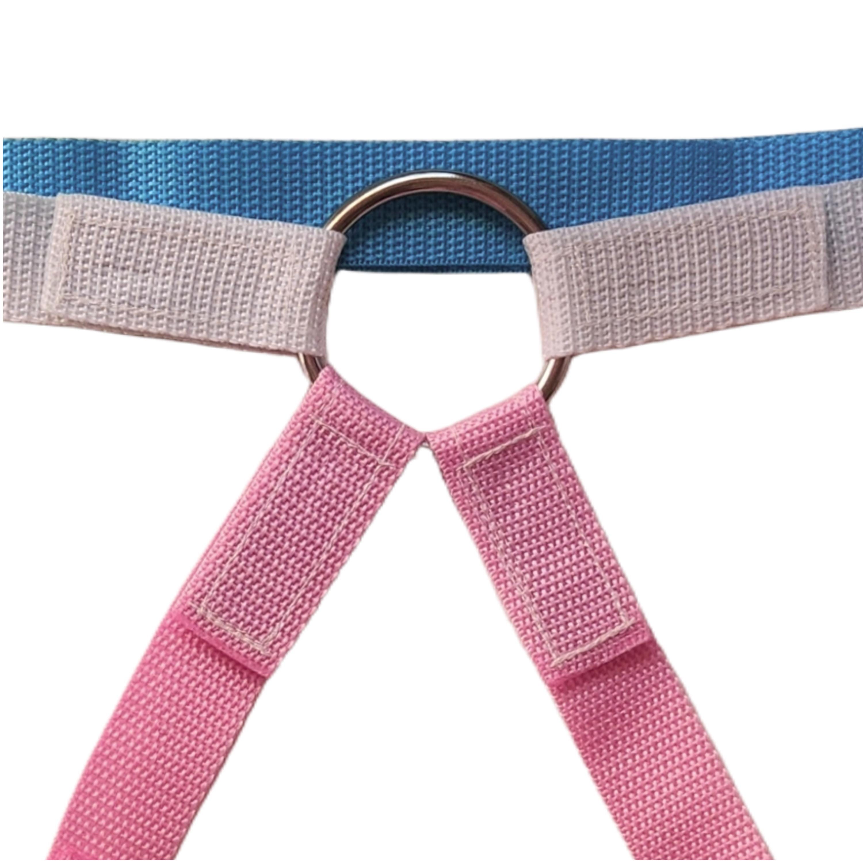 Trans Pride Flag Strap on Hip Harness - Adaptive & Adjustable - Etsy