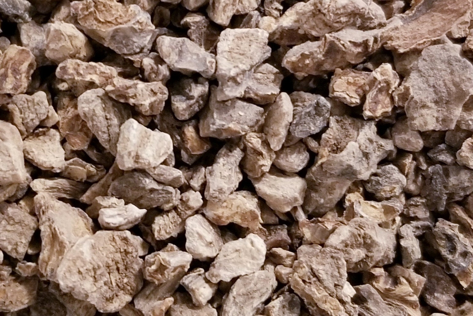 Devil's Claw Root 1 Oz Dry Root Natural Remedy Herbal - Etsy Canada