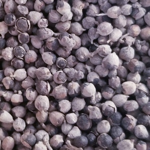 Chaste Tree Berries, Dry Loose Herb 1 Ounce, Natural, Magick, Herbs ...