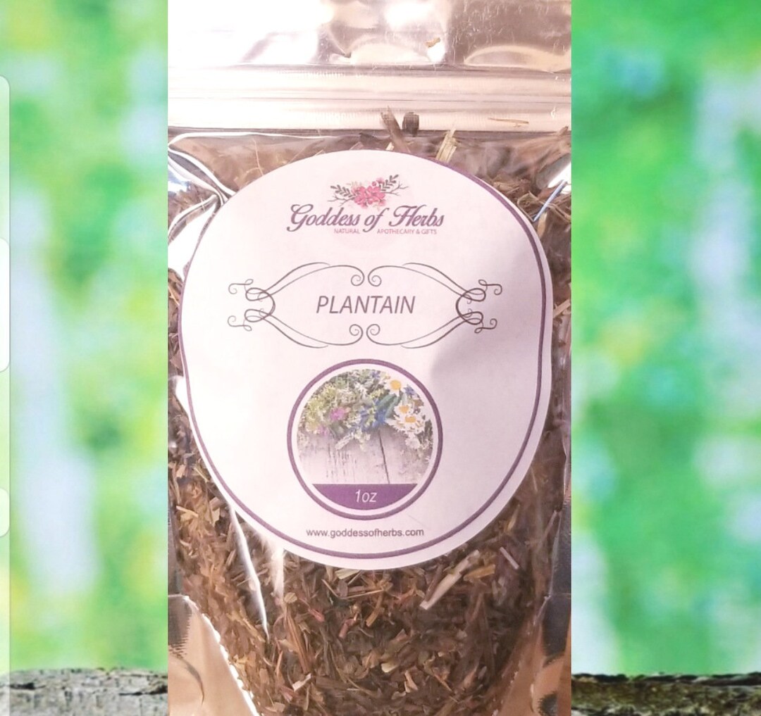 Plantain 1 Oz Dry Plantain, Plantain Leaf, Dried Plantain, Plantain Tea ...