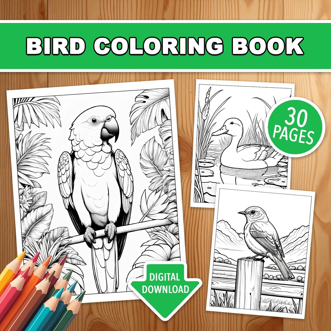 30 Bird Coloring Pages – PDF Download for Adults and Kids - Etsy