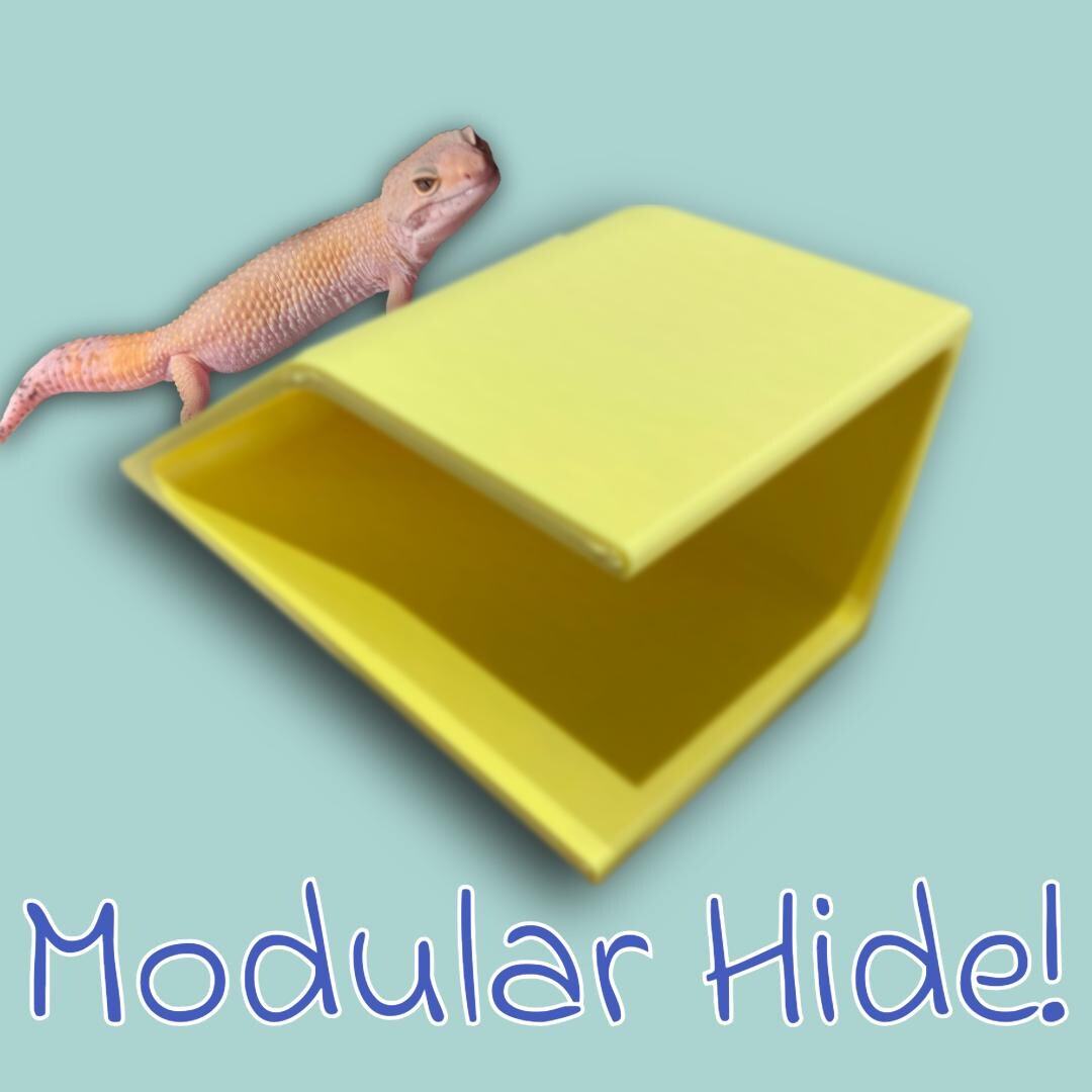 Modular Hide With Ramp for Lizards, Snakes and Other Reptiles for ...