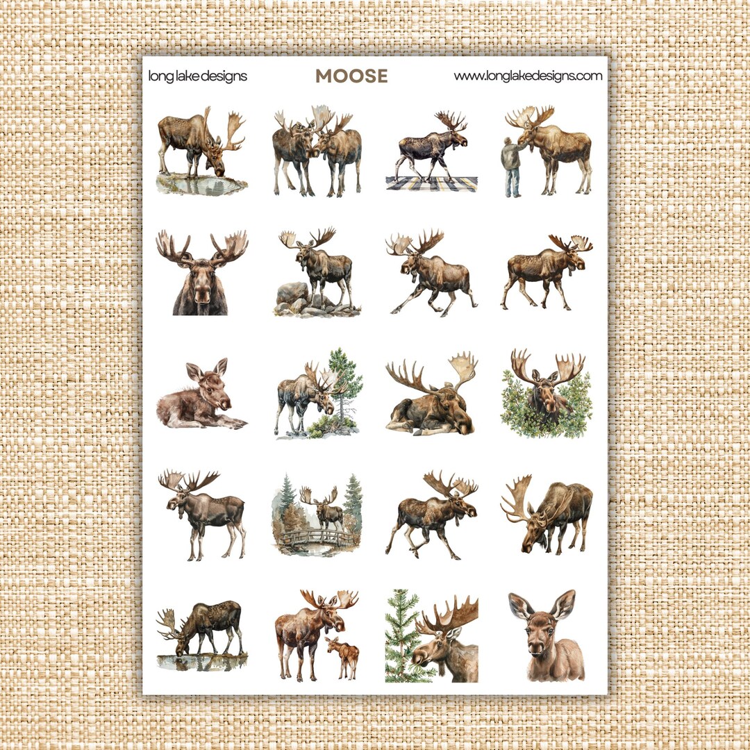 Moose Sticker Sheet, Weatherproof Stickers, Durable Laminated Designs ...